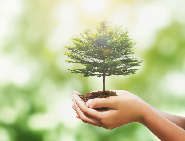 Sustainable packaging – colordruck Baiersbronn